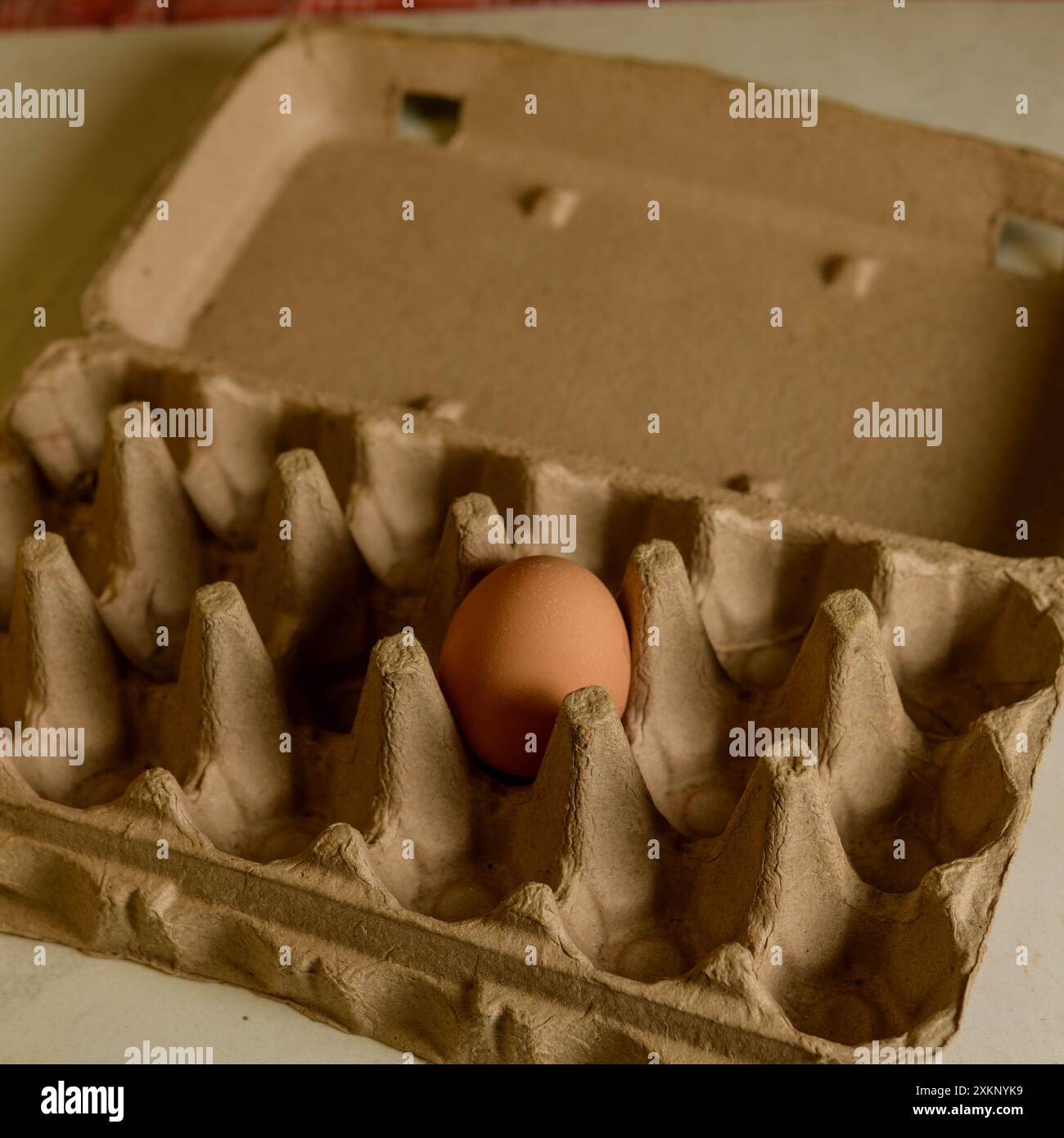 Bird Flu causes Egg Shortage in Australia Stock Photo - Alamy