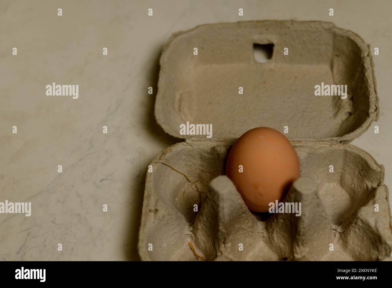 Bird Flu causes Egg Shortage in Australia Stock Photo - Alamy