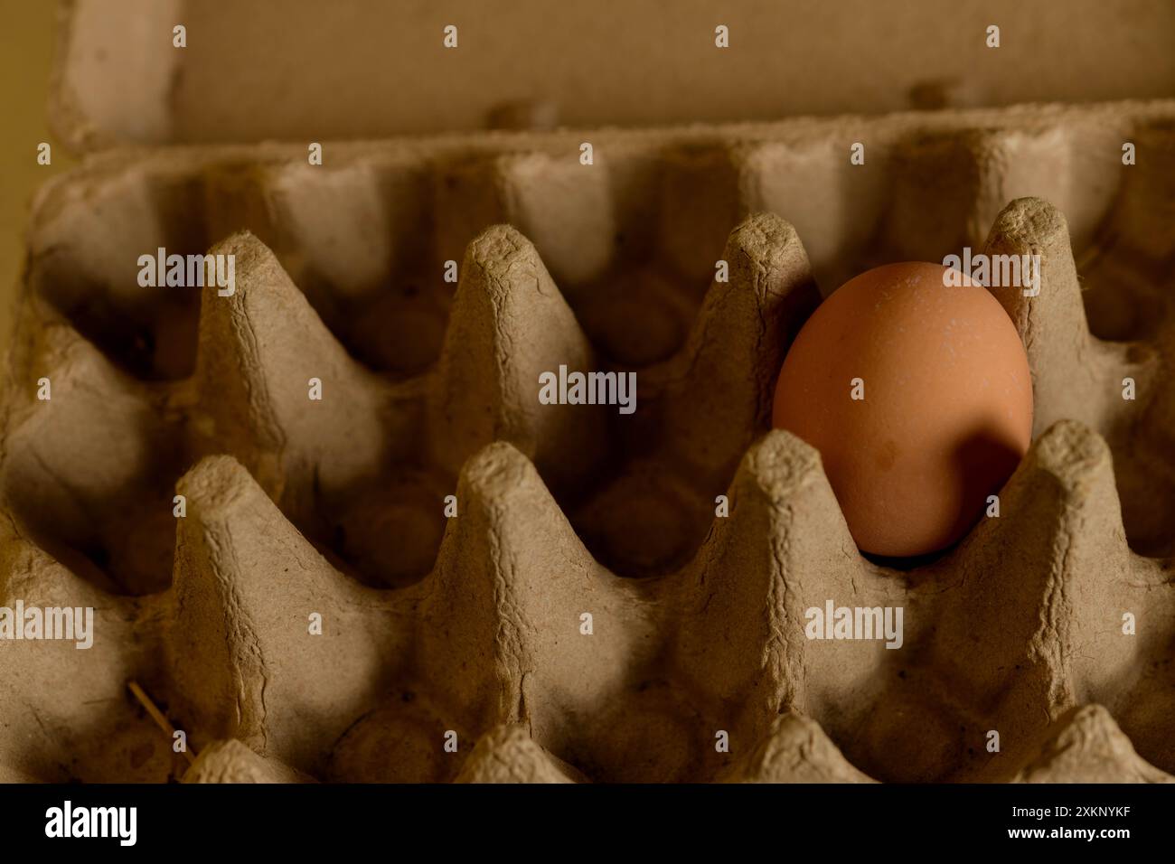 Bird Flu causes Egg Shortage in Australia Stock Photo - Alamy