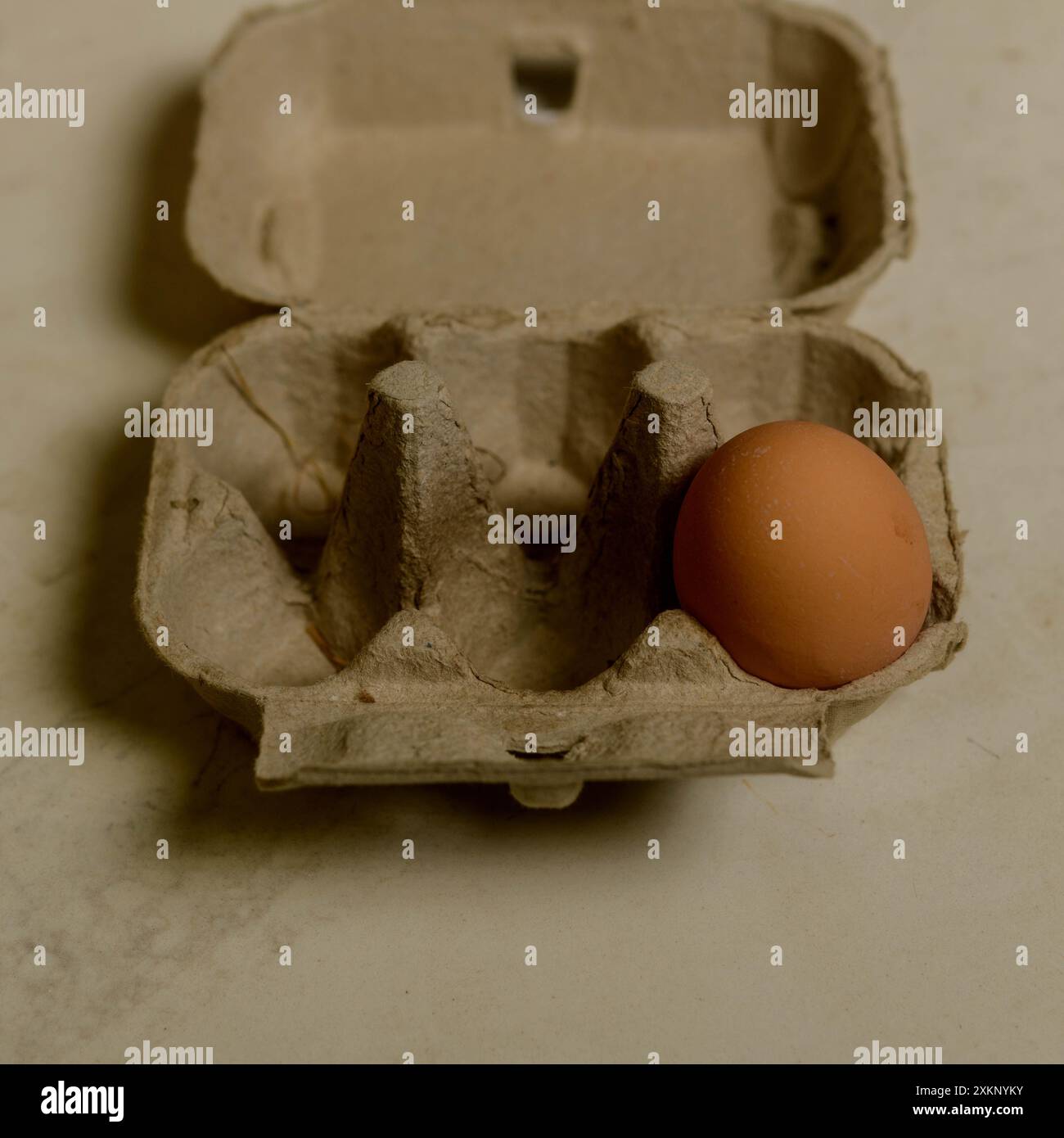 Bird Flu causes Egg Shortage in Australia Stock Photo - Alamy