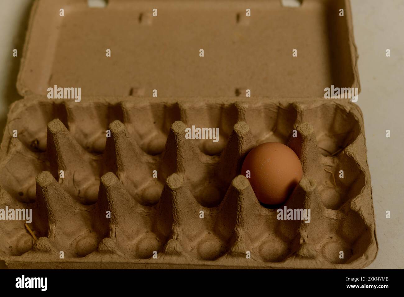 Bird Flu causes Egg Shortage in Australia Stock Photo - Alamy