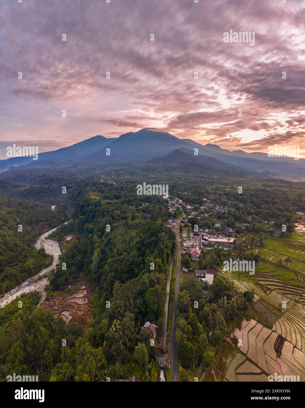 View of Indonesia in the morning, the atmosphere of a rice field ...