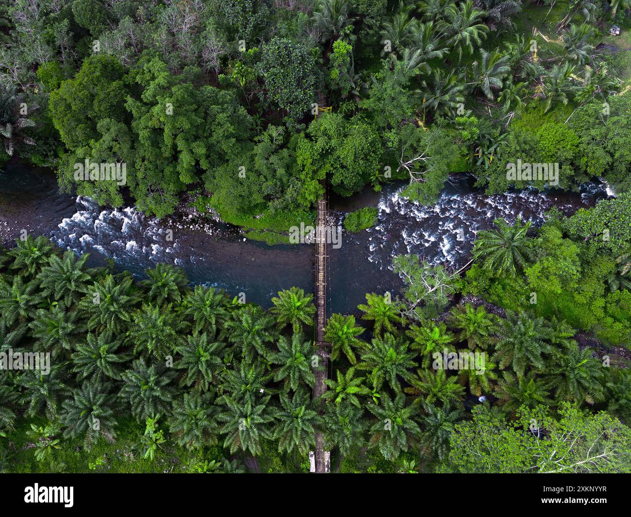 Indonesia's natural scenery with forests and beautiful river flows ...
