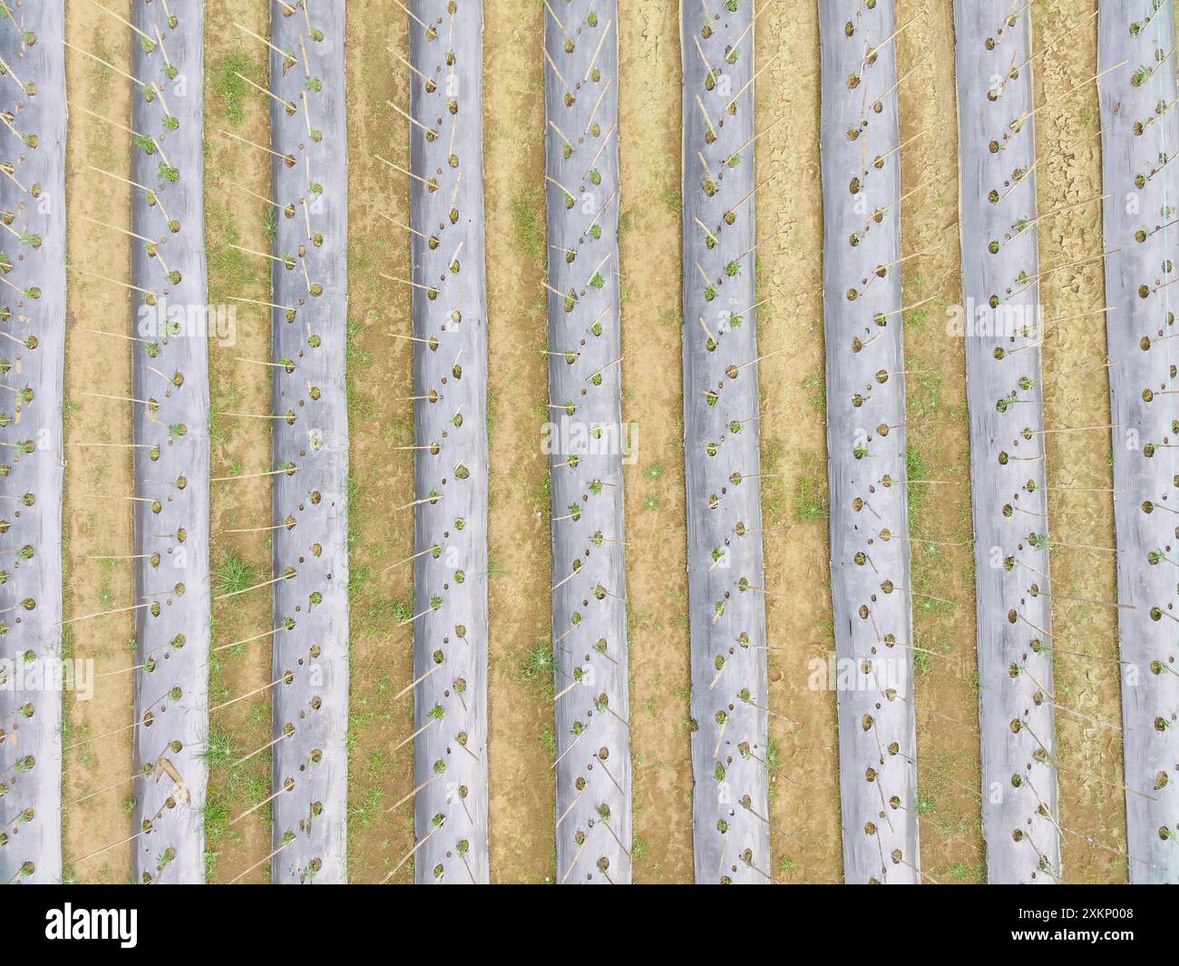 Aerial mountain path hi-res stock photography and images - Alamy