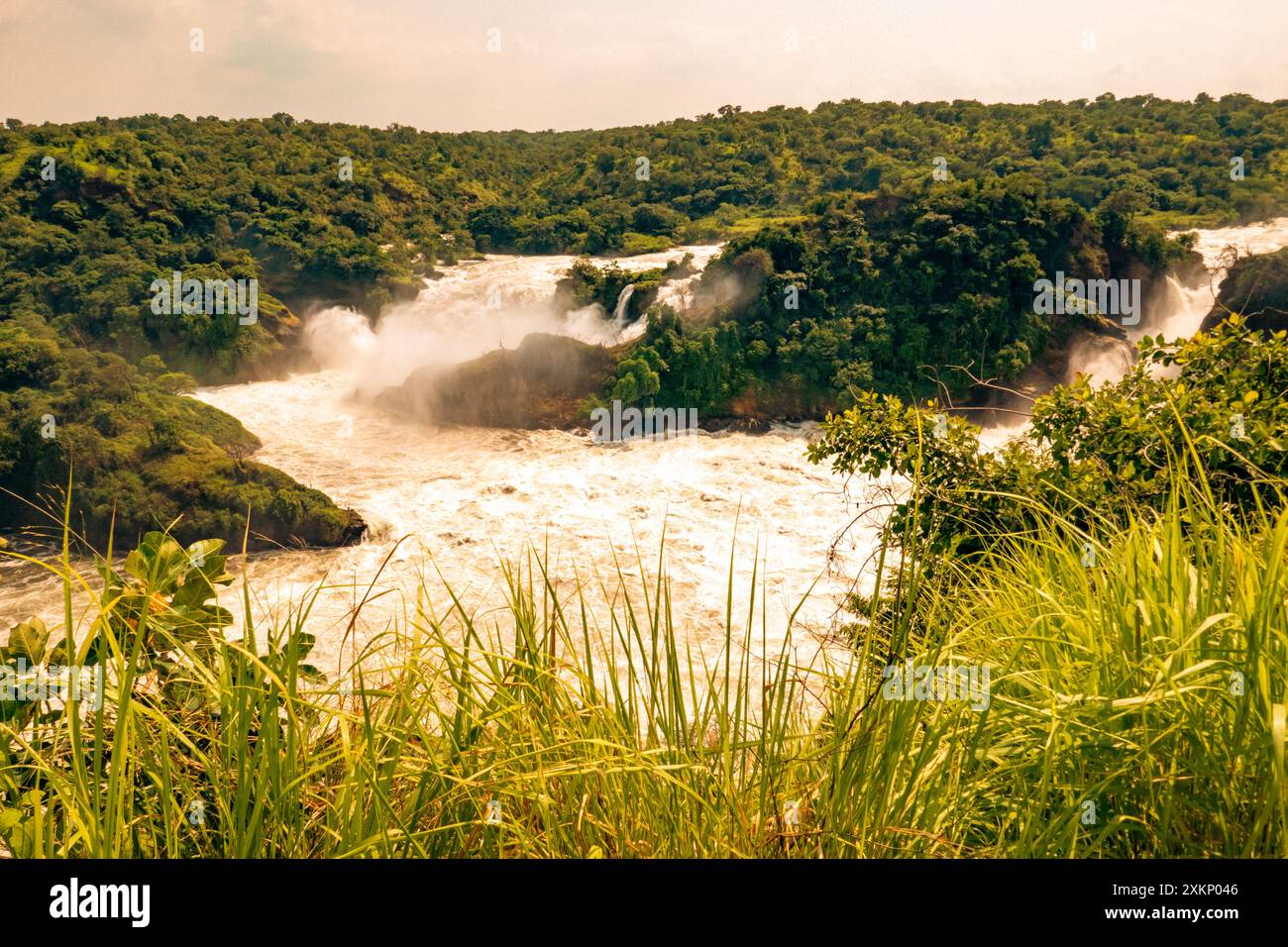 Scenic view of River Nile viewed from Murchison Falls National Park in ...