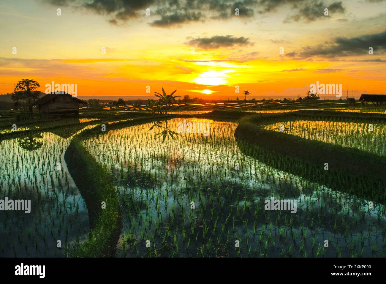 the extraordinary beauty of the afternoon in the mountains with ...