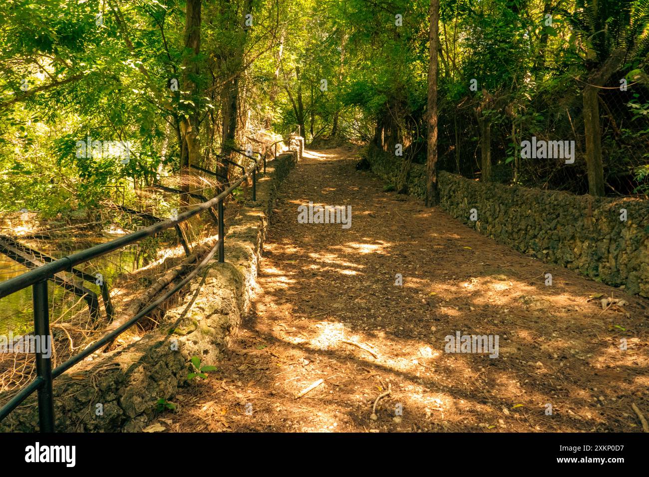 An old hiking trail with an abandoned concrete gate in the wild at ...