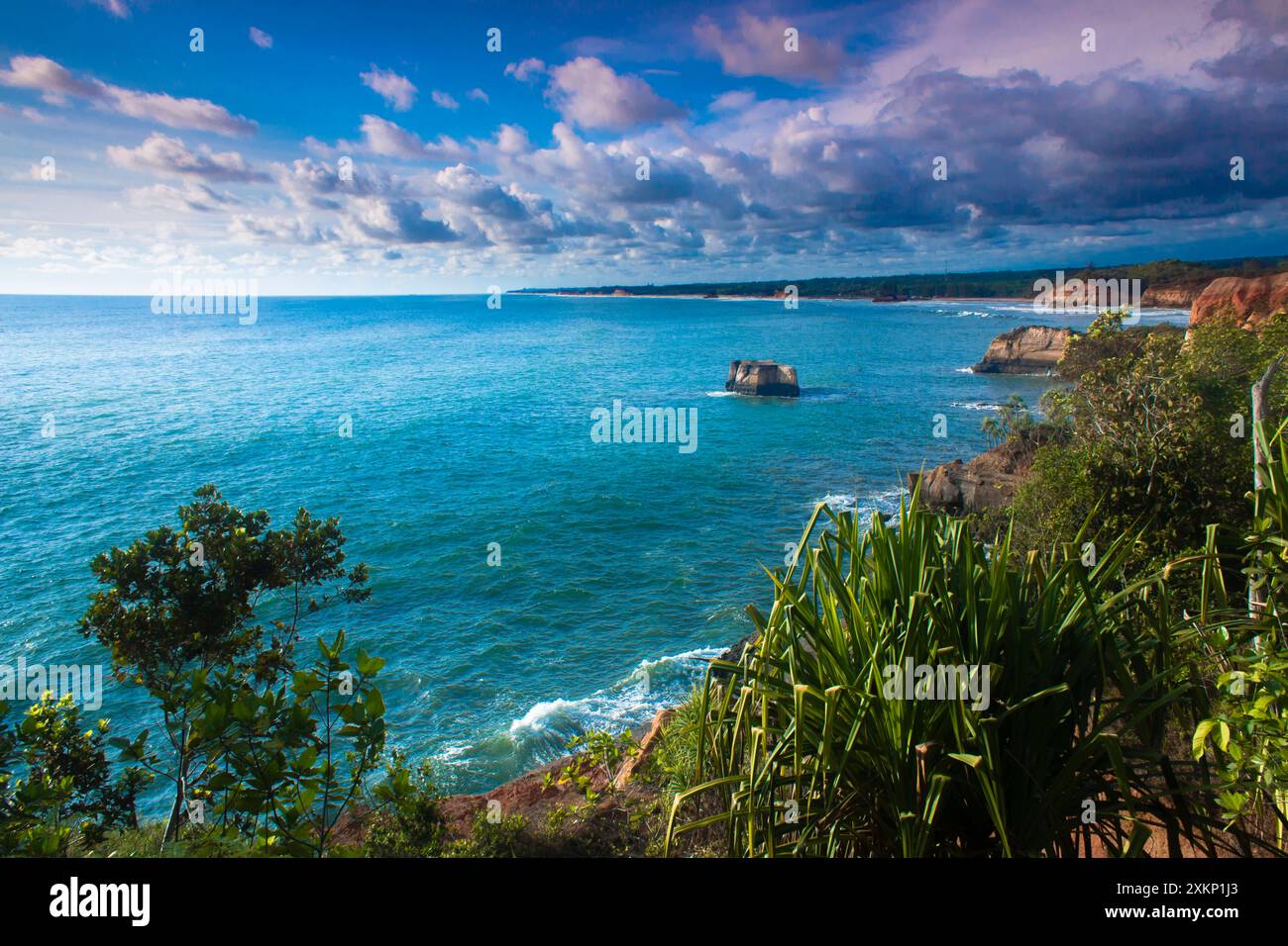 the beach at noon with swaying leaves and the sea is also a beautiful ...