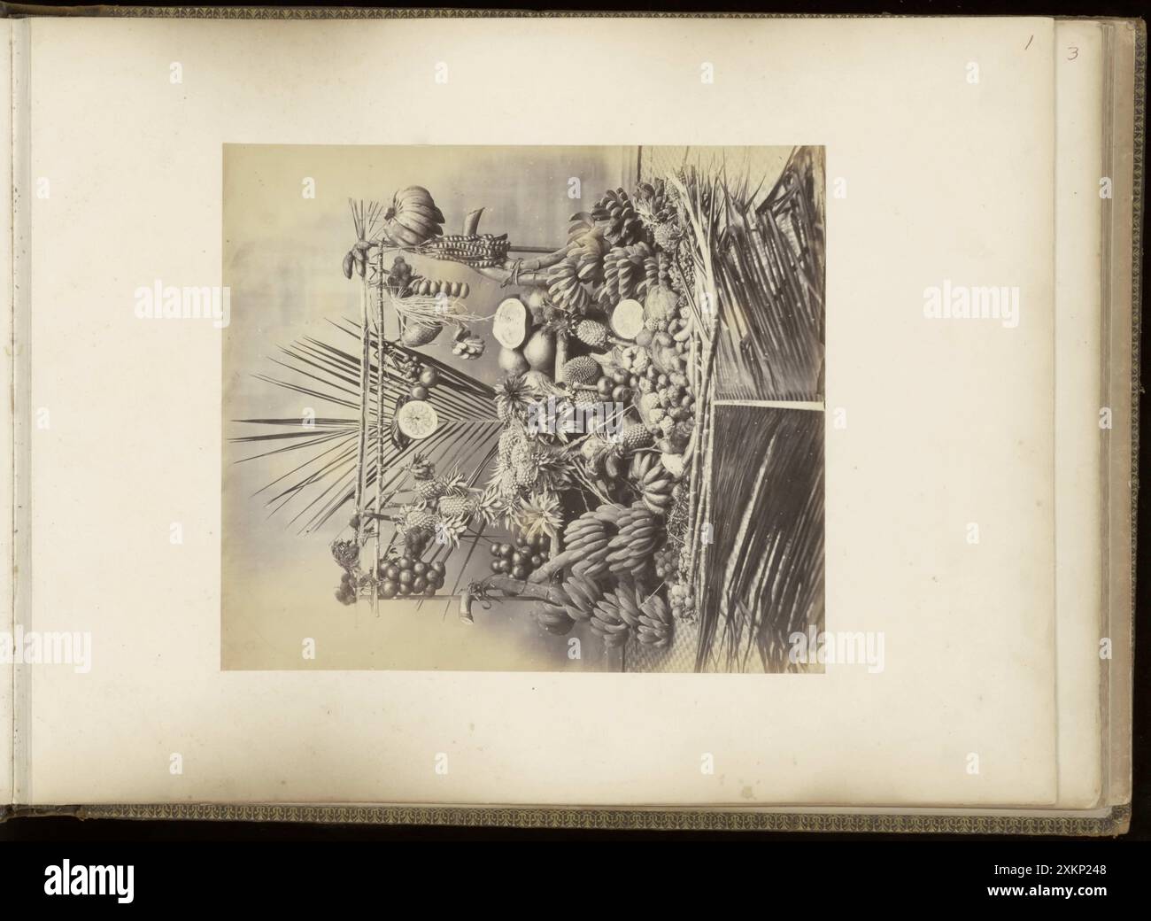 Fruits jakarta hi-res stock photography and images - Alamy