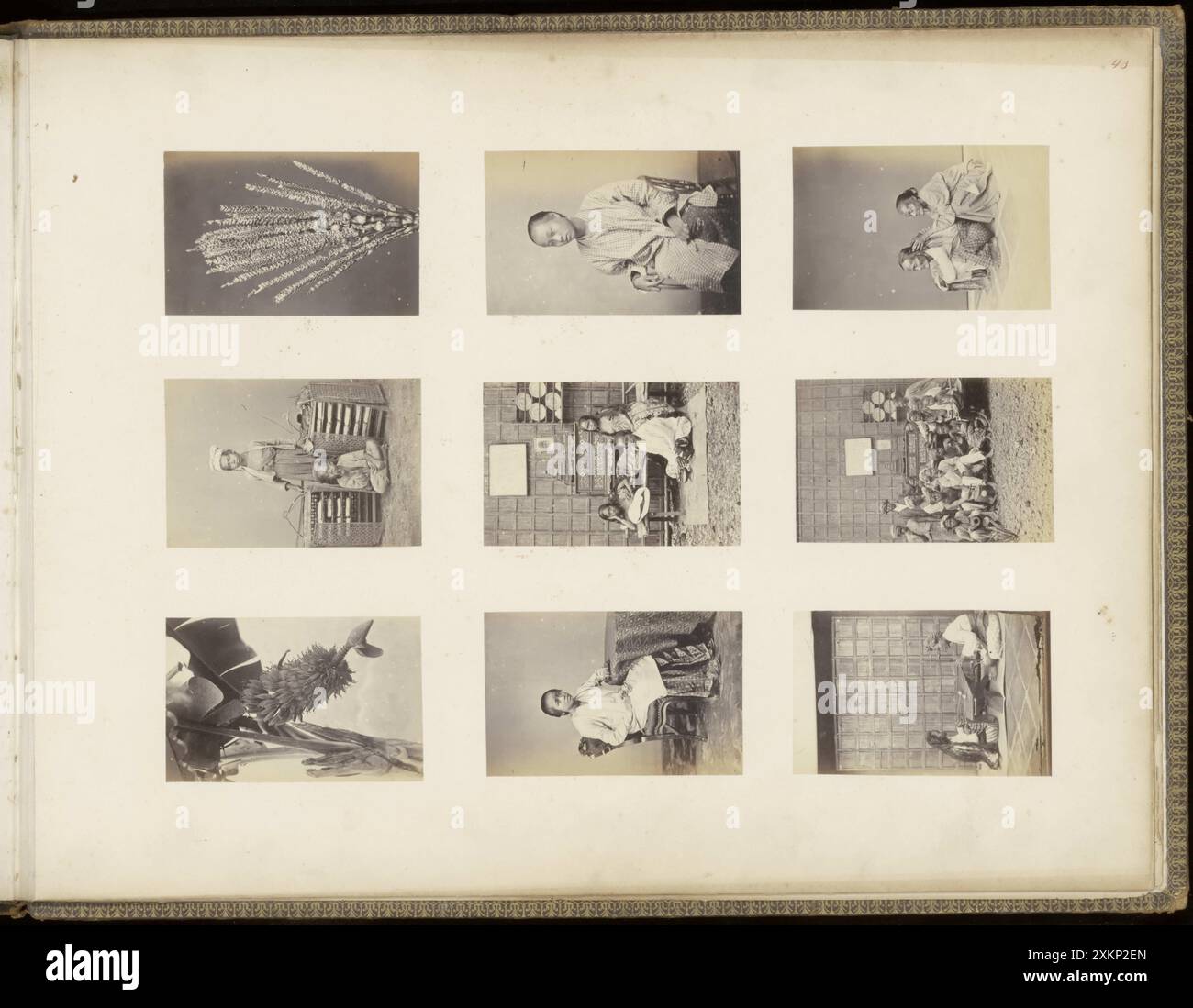 Java coffee plantations hi-res stock photography and images - Alamy