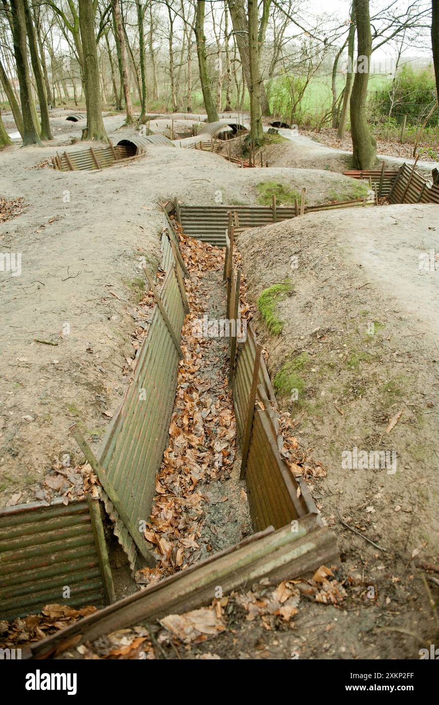 The preserved World War One allied trenches and dugouts at Sanctuary ...