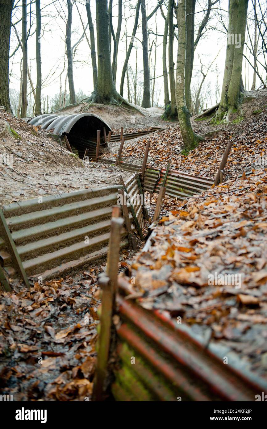 The preserved World War One allied trenches and dugouts at Sanctuary ...