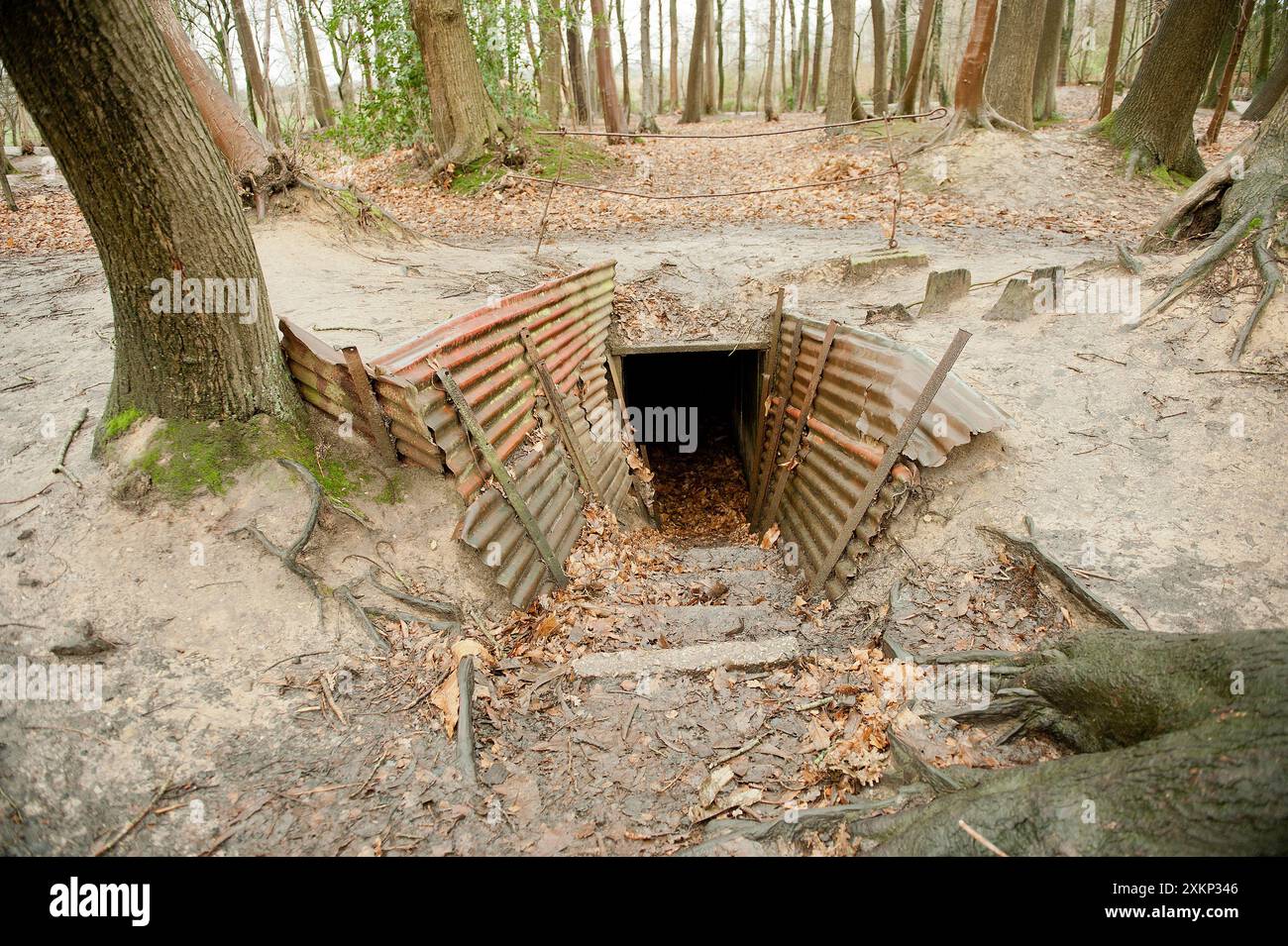 The preserved World War One allied trenches and dugouts at Sanctuary ...
