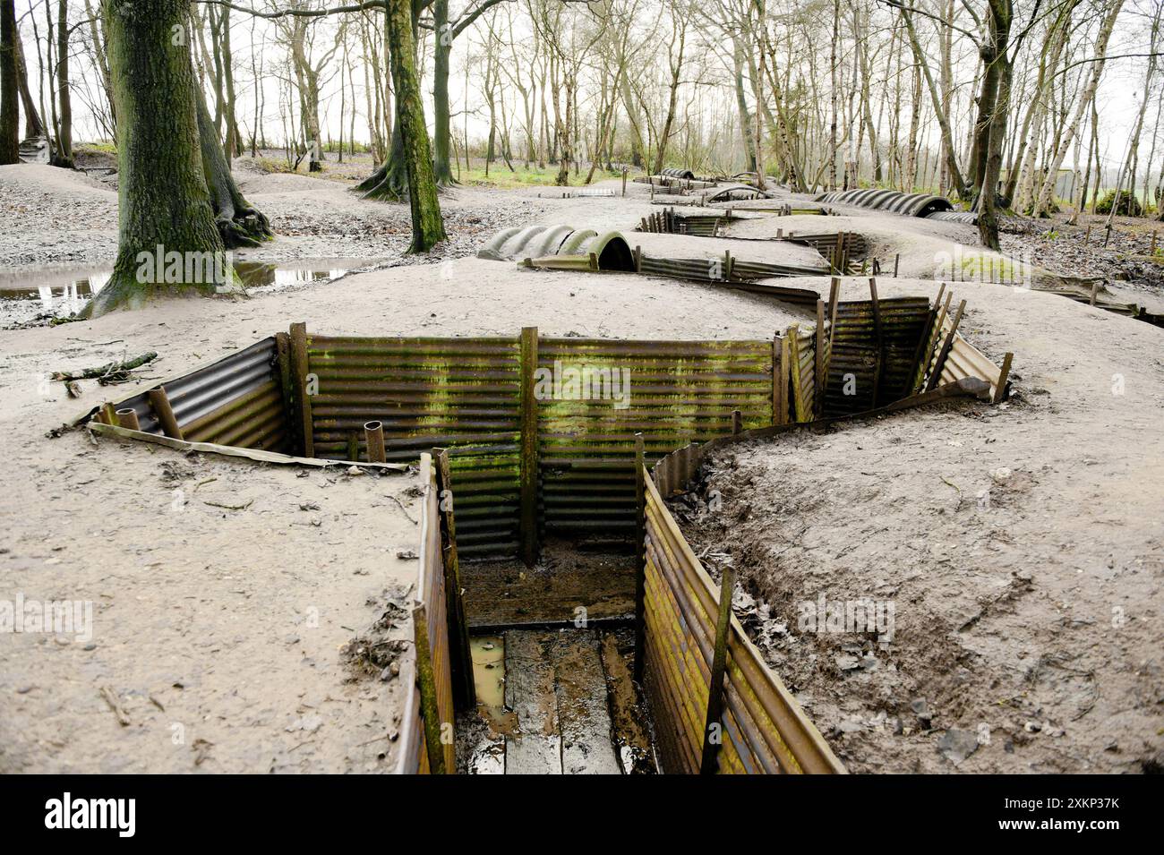 The preserved World War One allied trenches and dugouts at Sanctuary ...