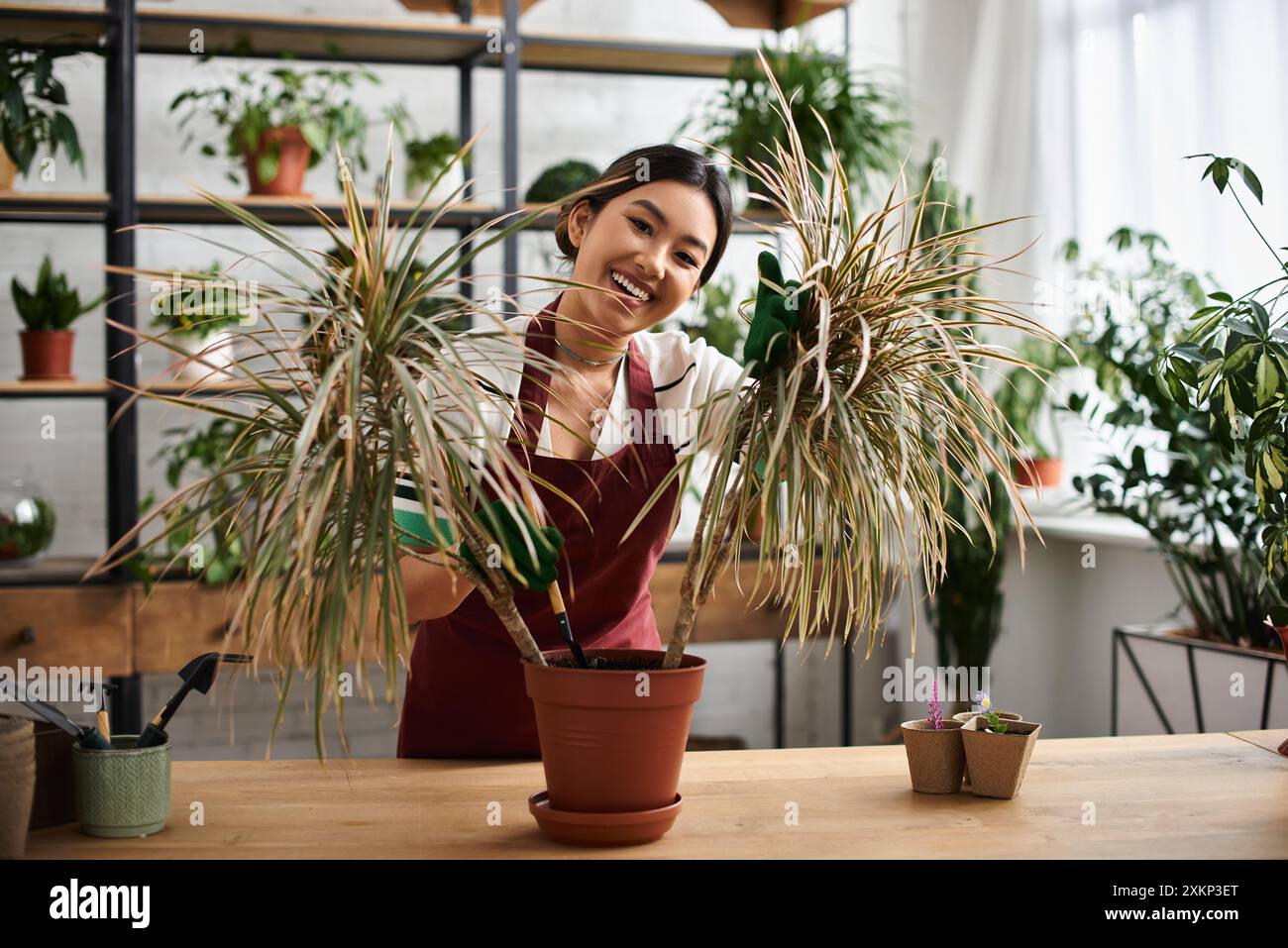 A young Asian woman in an apron smiles as she tends to plants in her ...