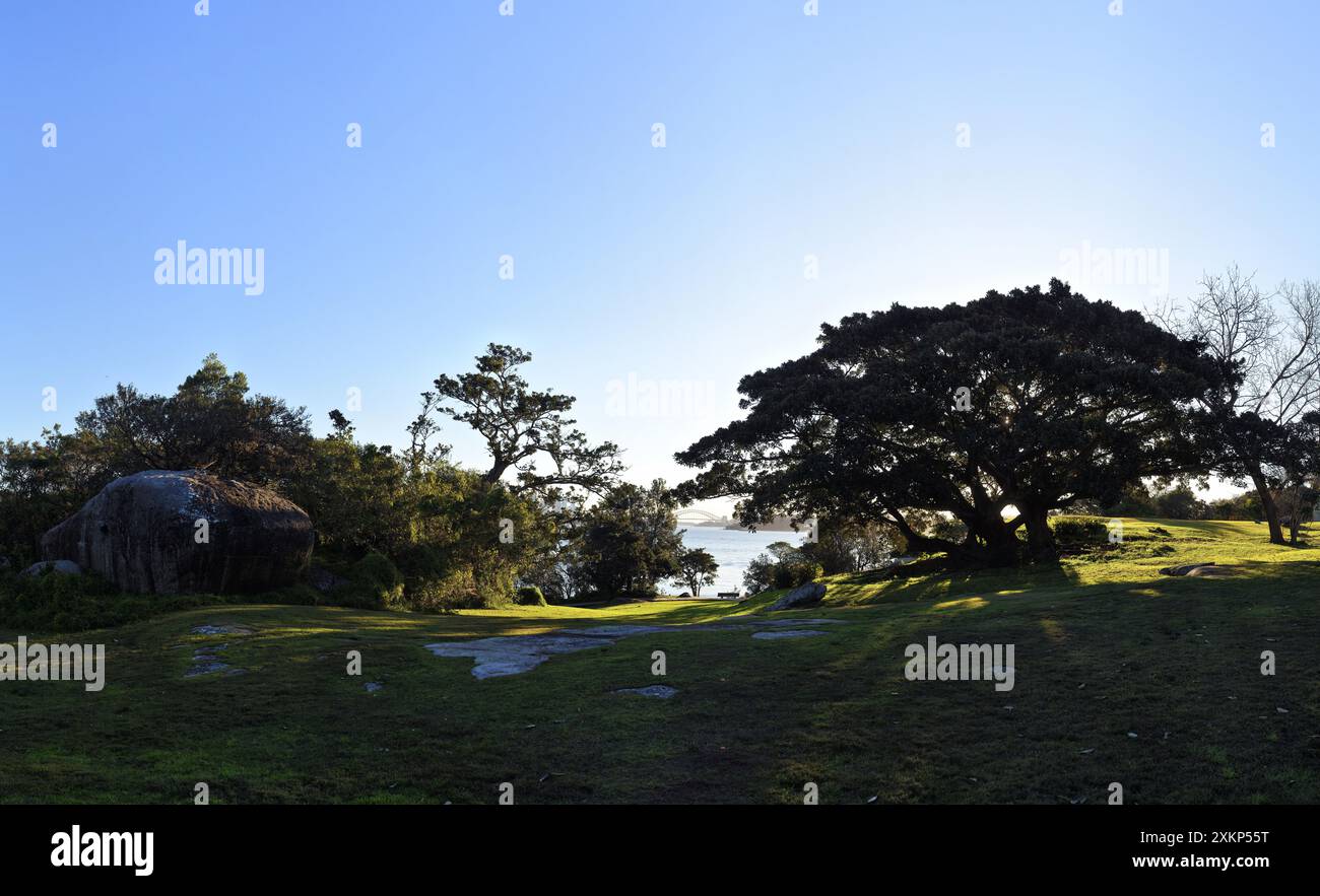 A large boulder, Moreton Bay Fig trees in the parkland Strickland ...