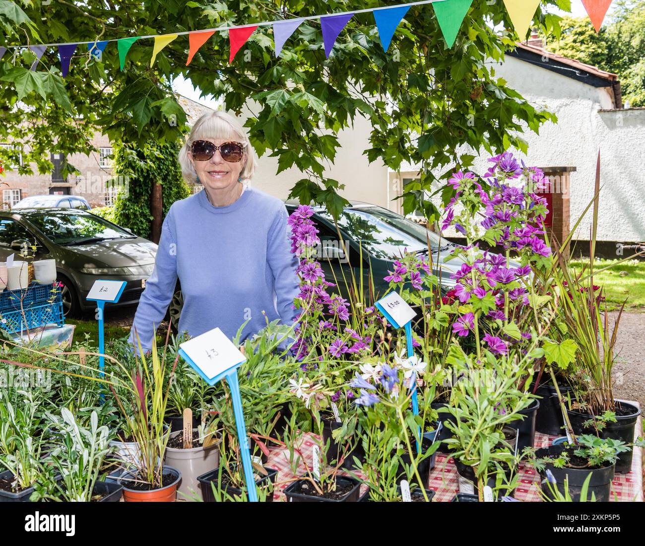 Otterton Village Fete Stock Photo - Alamy