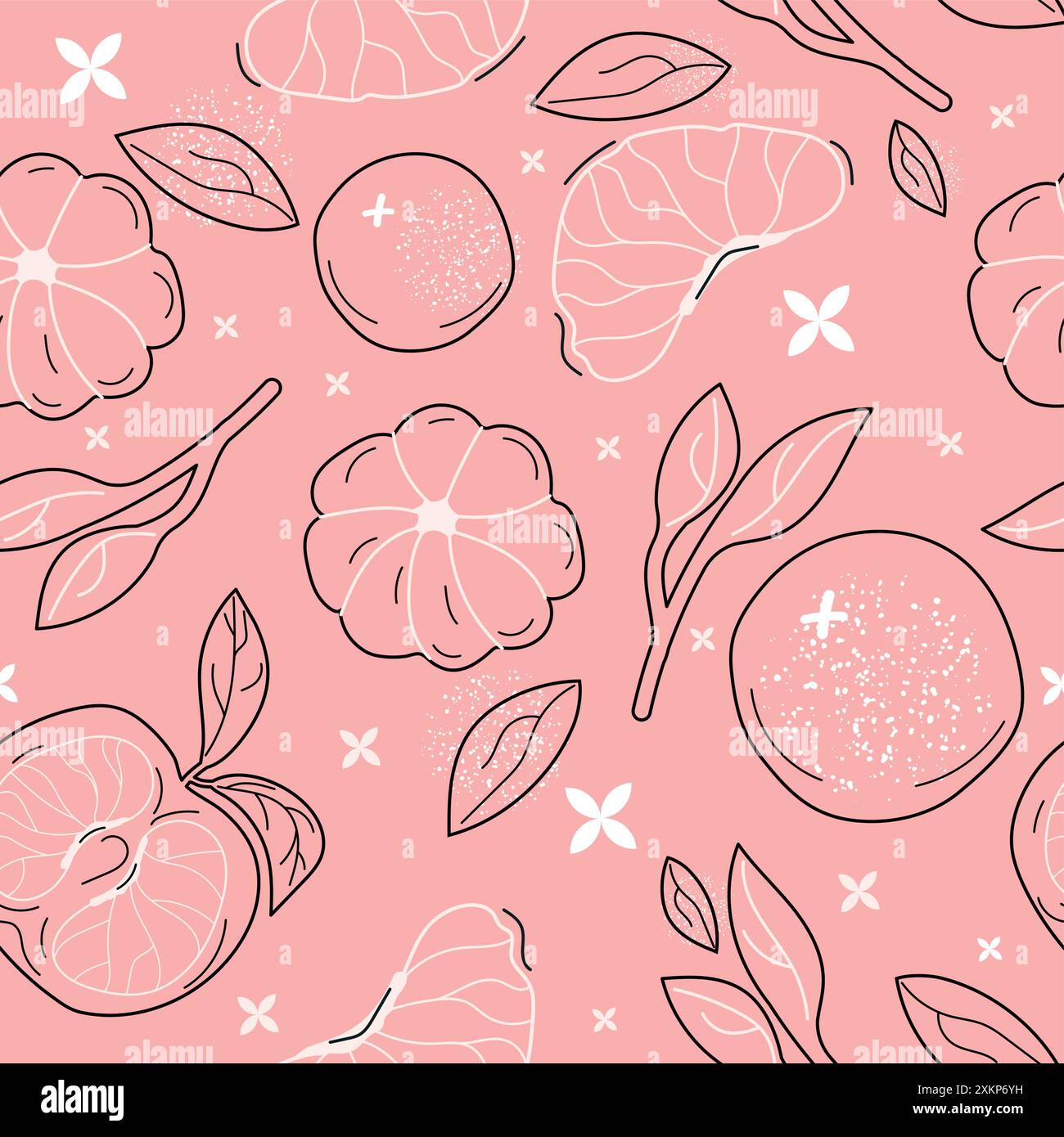 Artistic fruit line art hi-res stock photography and images - Alamy