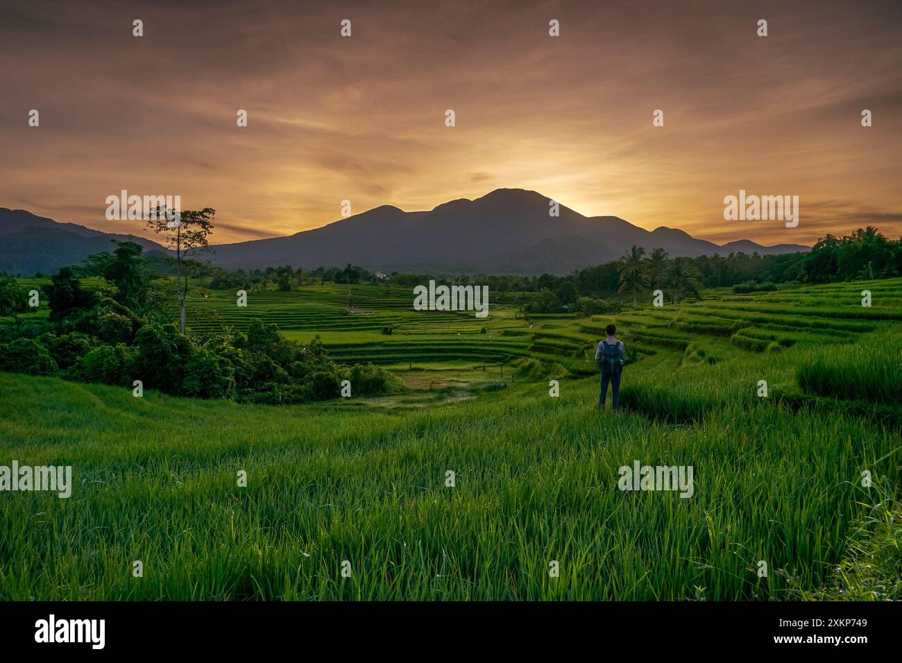 Indonesia's extraordinary natural scenery. View of a sunny morning ...