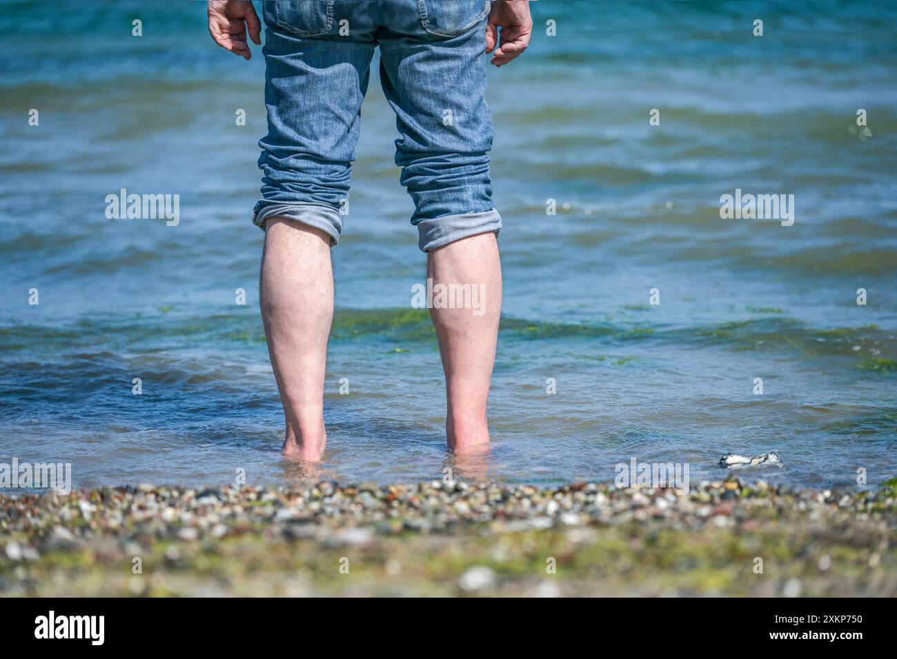 Legs of a man from behind with rolled up jeans standing in shallow ...