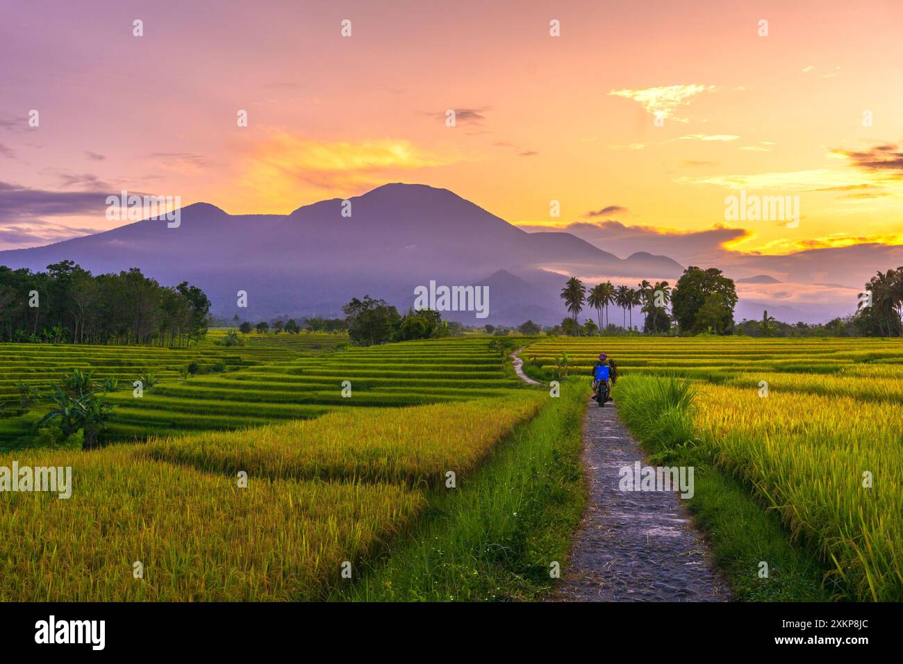 aerial view beautiful morning view from Indonesia about mountain and ...