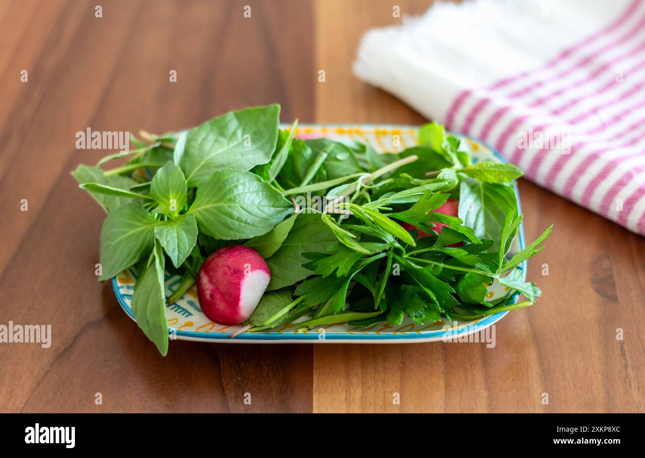 Fresh mint herbs close hi-res stock photography and images - Alamy