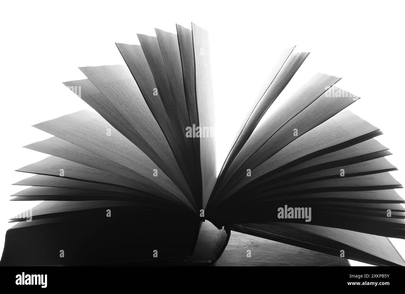 Open book close up, black and white, reading, education, knowledge ...