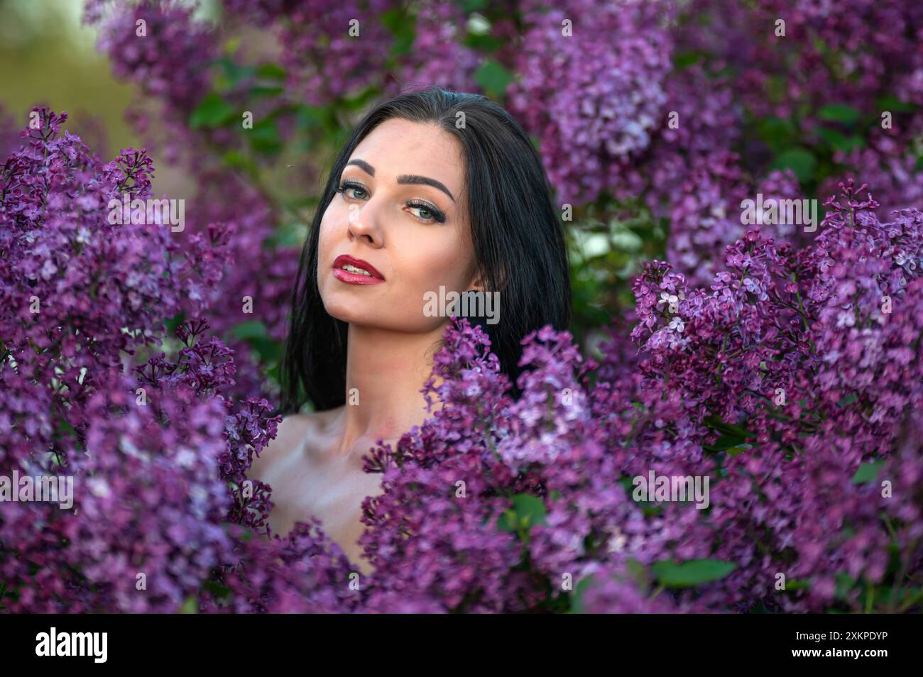 A woman with long black hair poses among purple lilac blossoms. Shallow ...