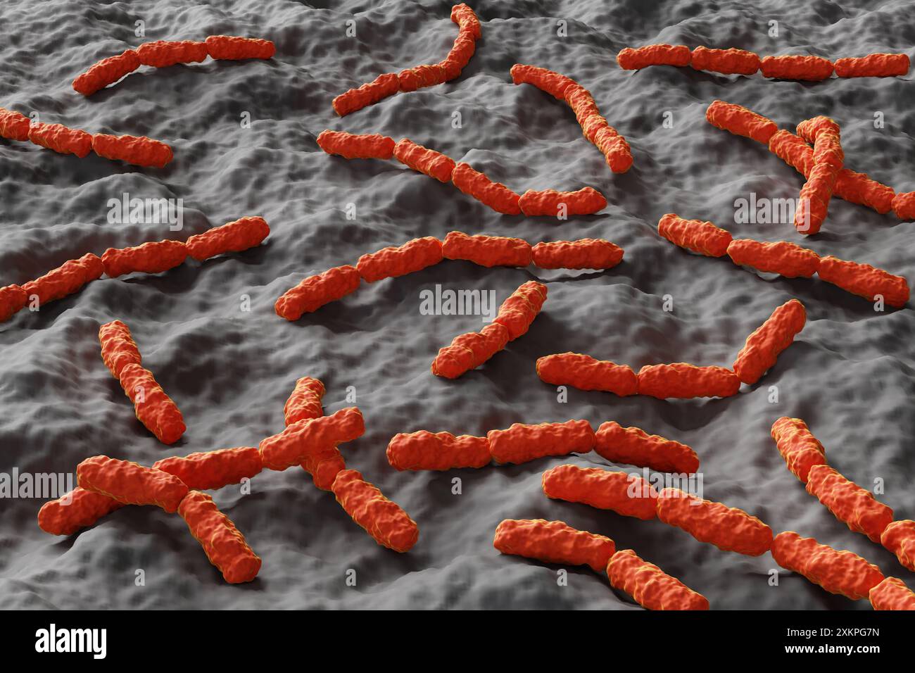 Orange microorganisms on gray human tissue. Illustration of the concept ...