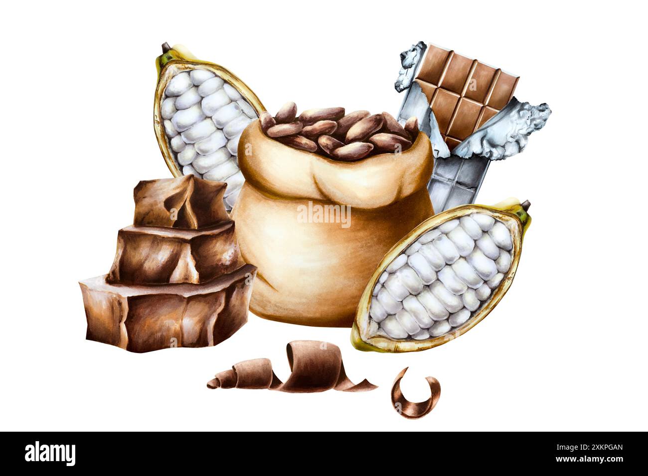Cocoa pod illustration hi-res stock photography and images - Alamy