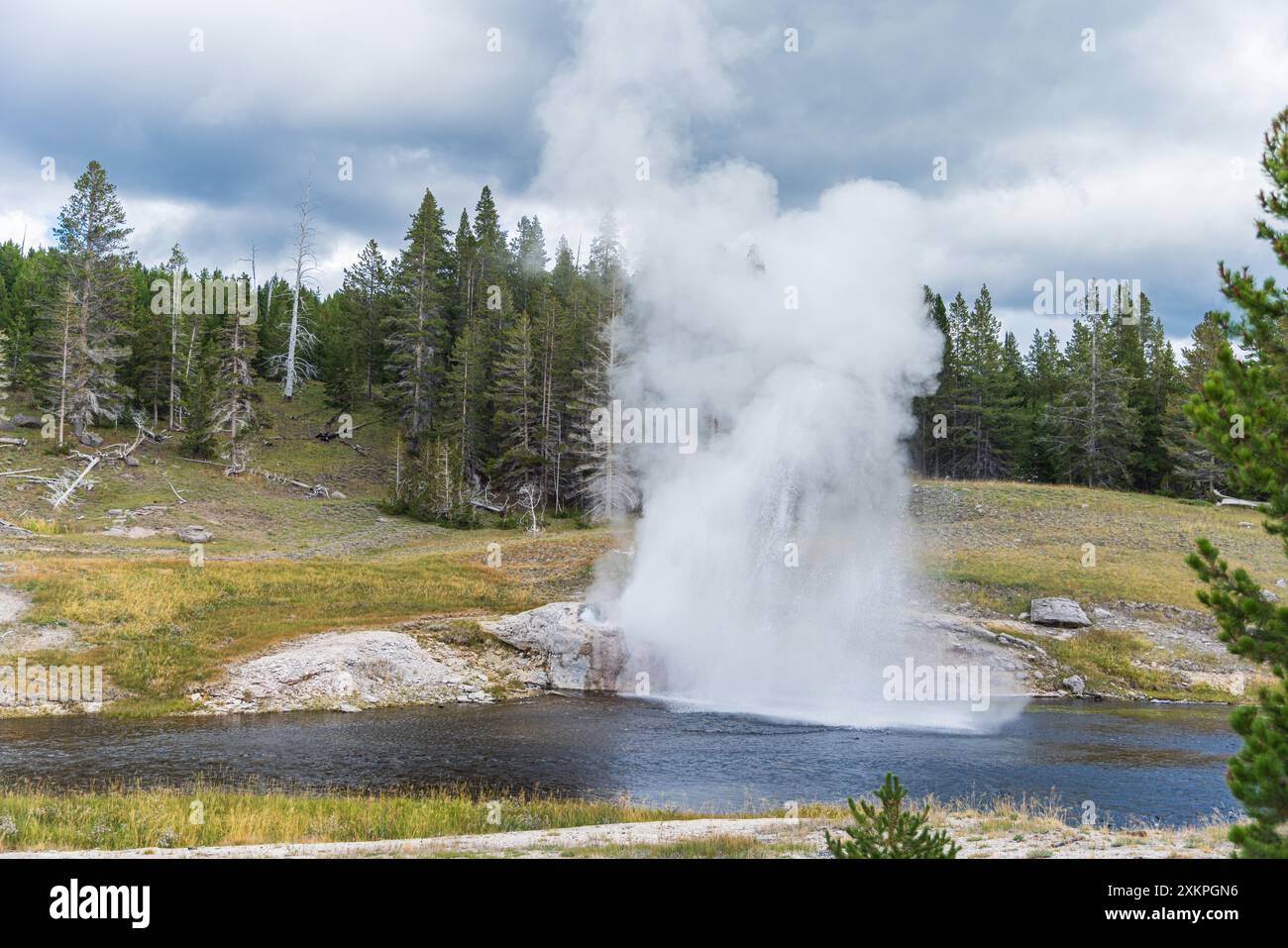 Geyser Eruption at Yellowstone National Park Stock Photo - Alamy