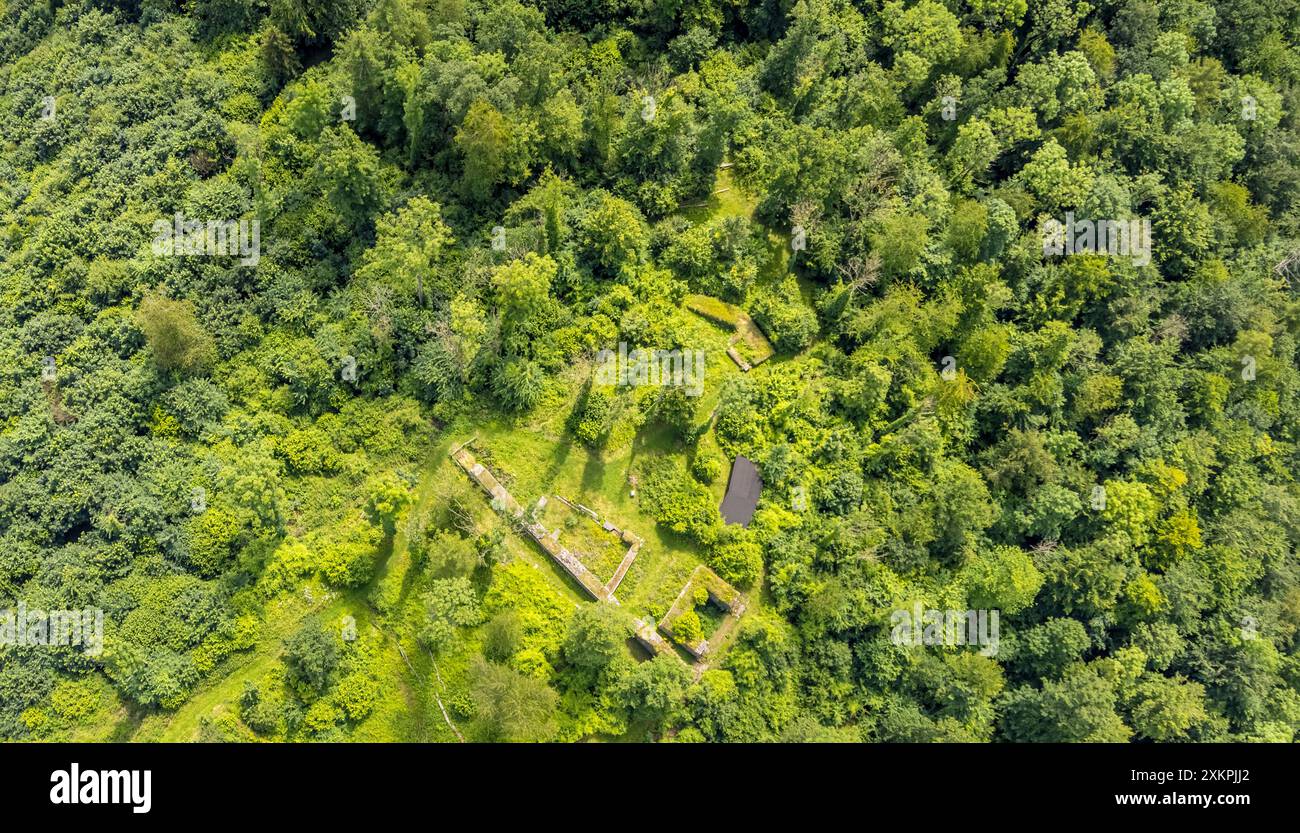 Luftbild, Burgruine bzw. Reste der Rüdenburg auch Alte Grafenburg oder ...