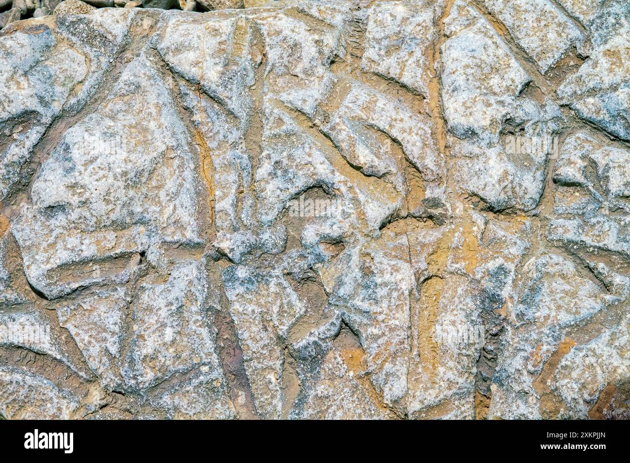 Grapholith hi-res stock photography and images - Alamy