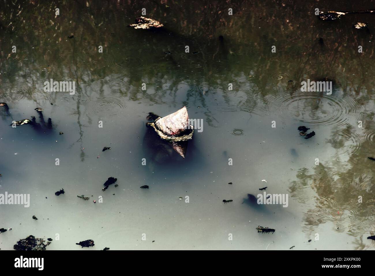 This is the sewer channel of almost dead, clusters of dead organic ...