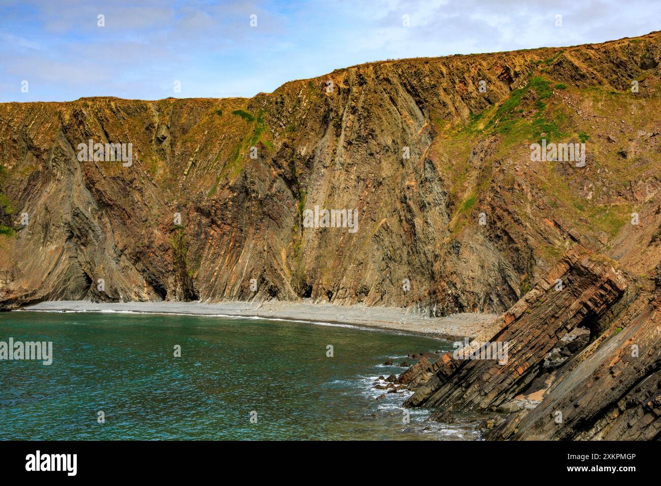 The dramatic folded rock strata of mudstones and sandstones at Hartland ...