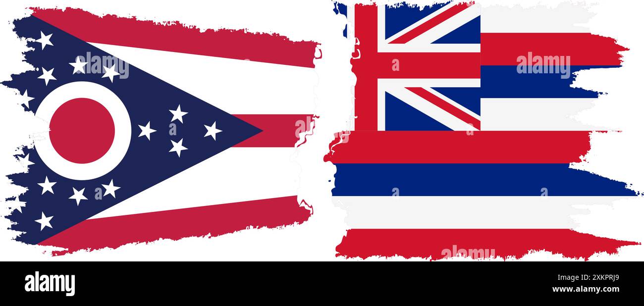 Hawaii and Ohio states grunge brush flags connection, vector Stock ...