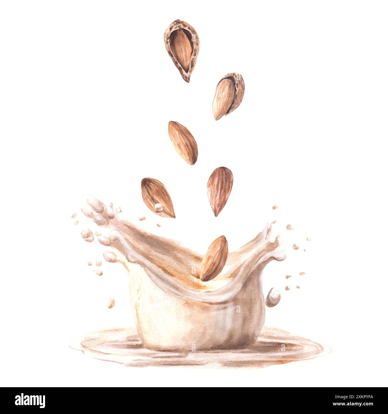 Nut based food label hi-res stock photography and images - Alamy