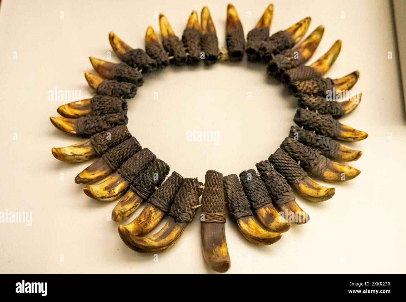boar tusk necklace, Bontok Luzon mountain range, 19th century, tusks ...