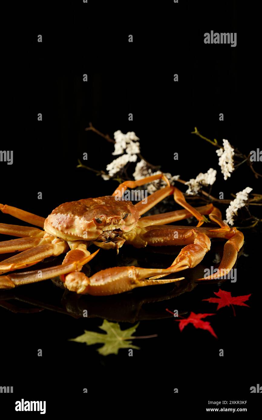 Matsuba snow crab hi-res stock photography and images - Alamy