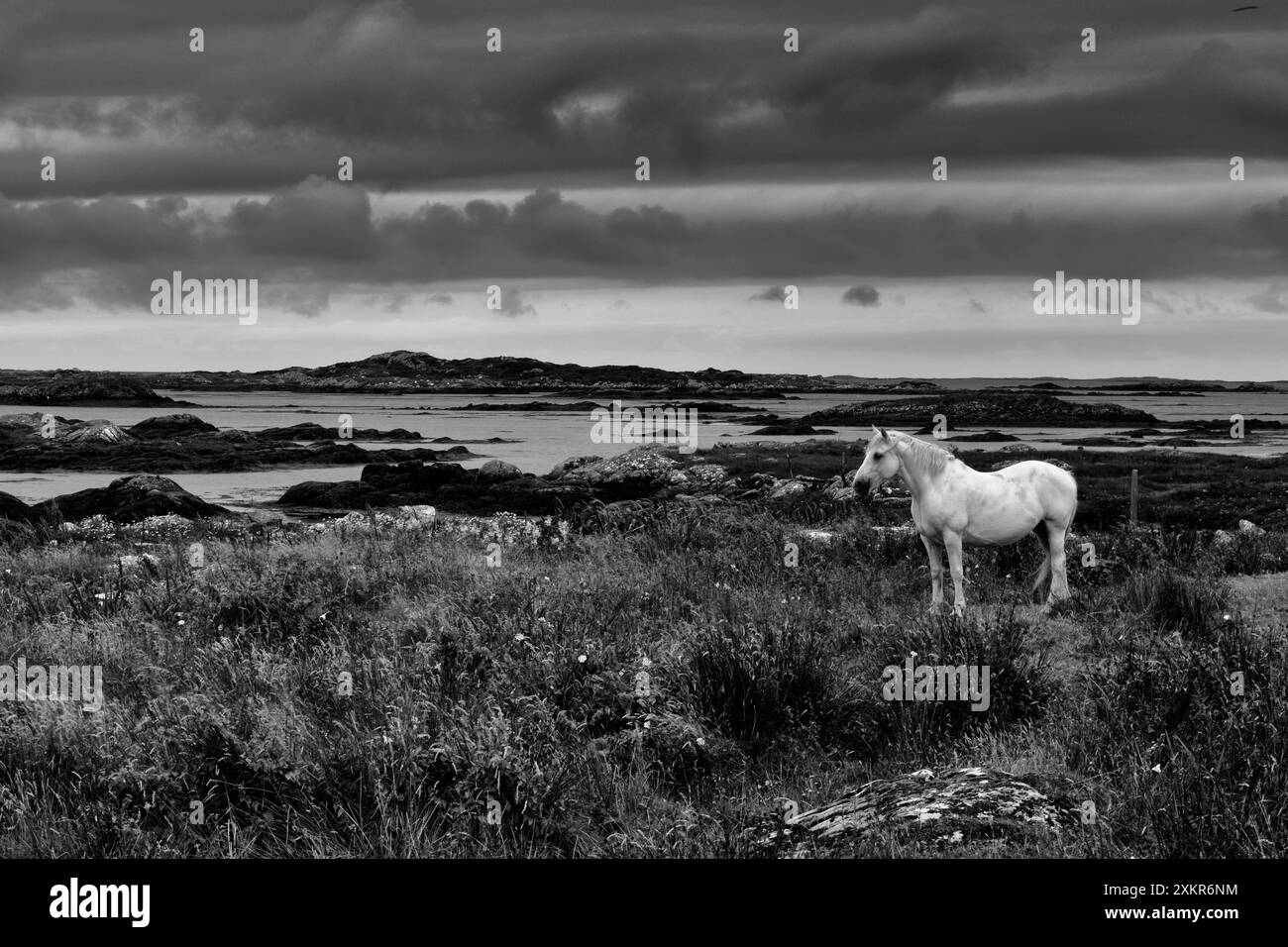 Landscape in galway Black and White Stock Photos & Images - Alamy
