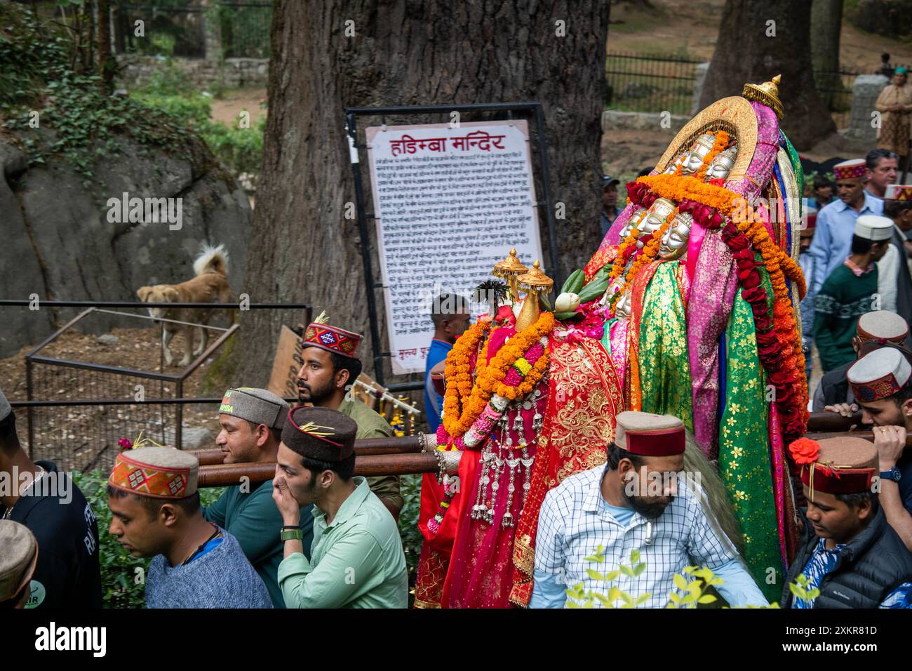 Procession of the Goddess Hadimba Devi festival at Dhungri forest ...