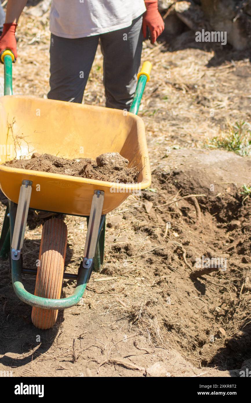 worker at an archaeological excavation site holding a wheelbarrow with ...