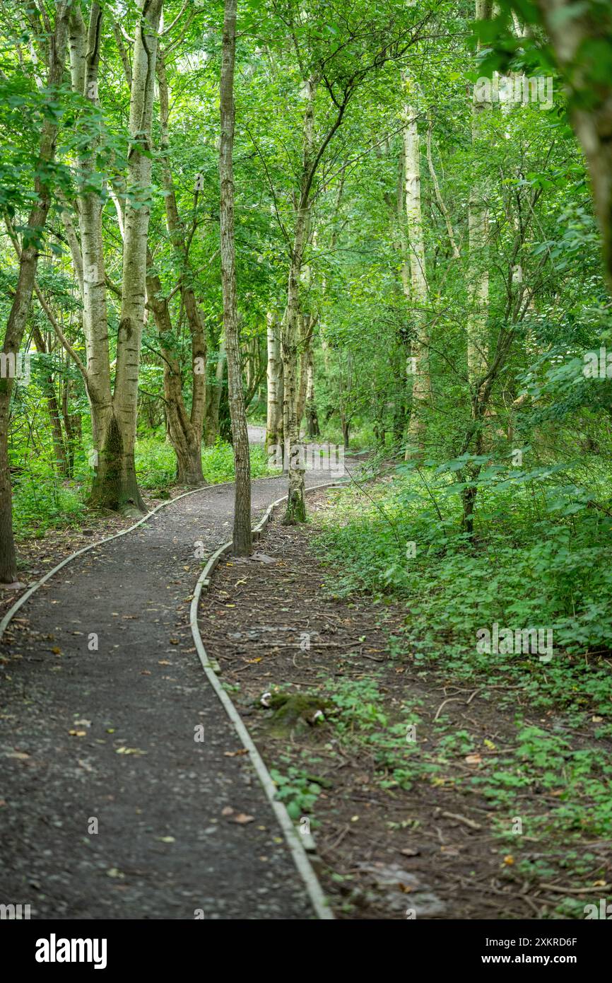 Path winding through trees in a nature reserve surrounded by trees in ...