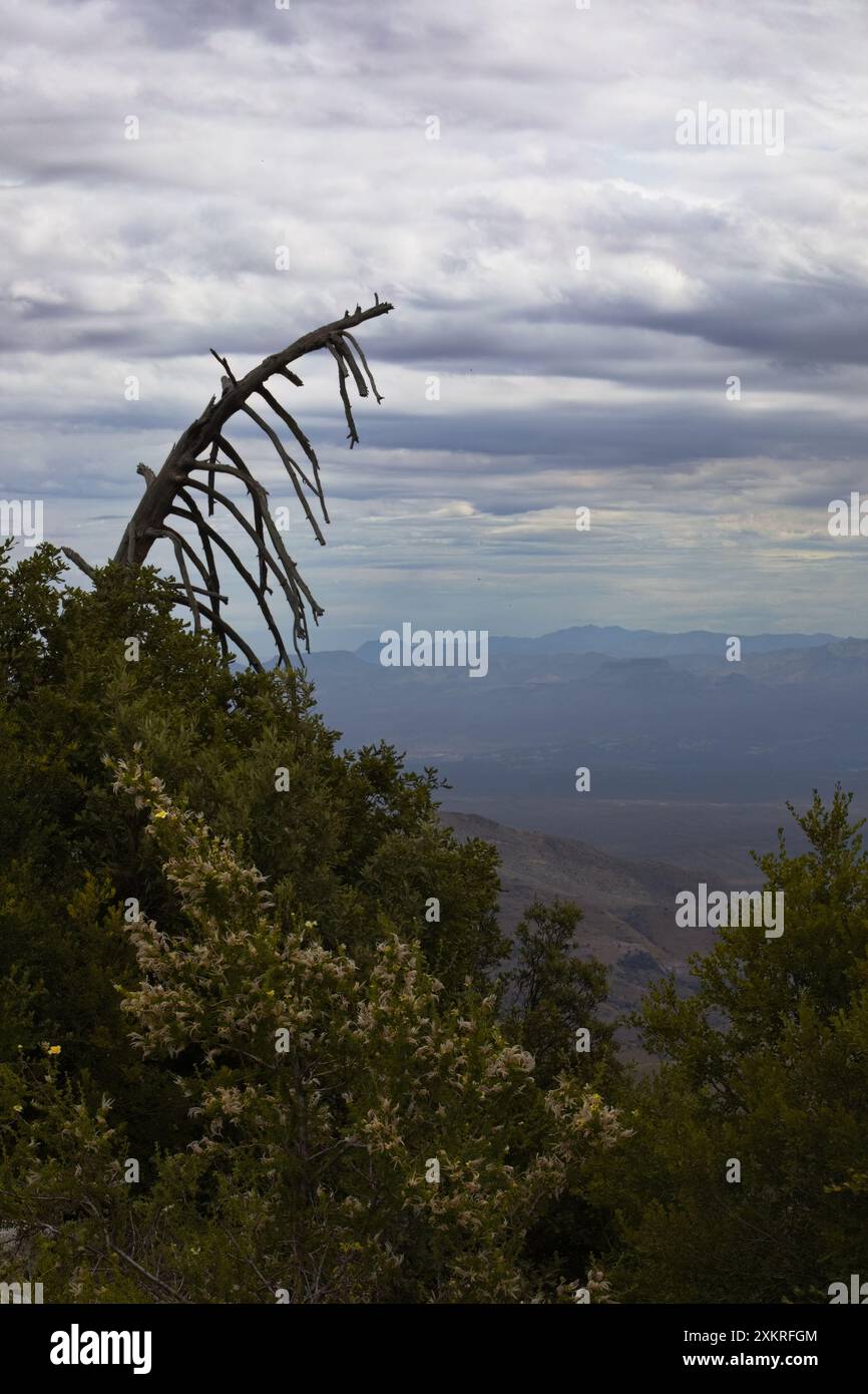 Catalina Mountains landscape in beautiful scenic view from Mount Lemmon ...