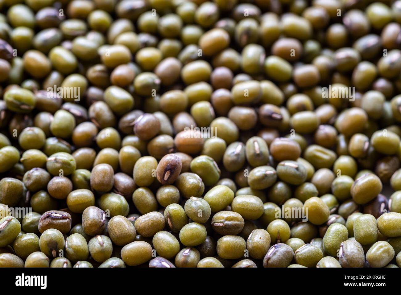 Closeup seed many hi-res stock photography and images - Alamy