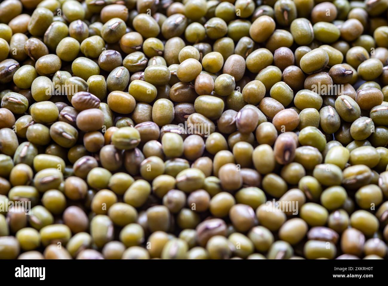 closeup of many green mung bean seeds Stock Photo - Alamy