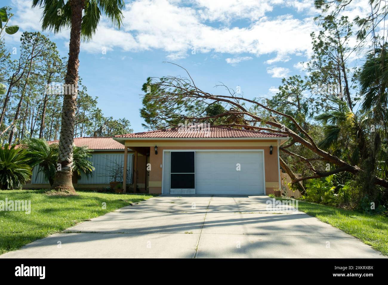 Fallen down big tree on a house roof after hurricane in Florida ...