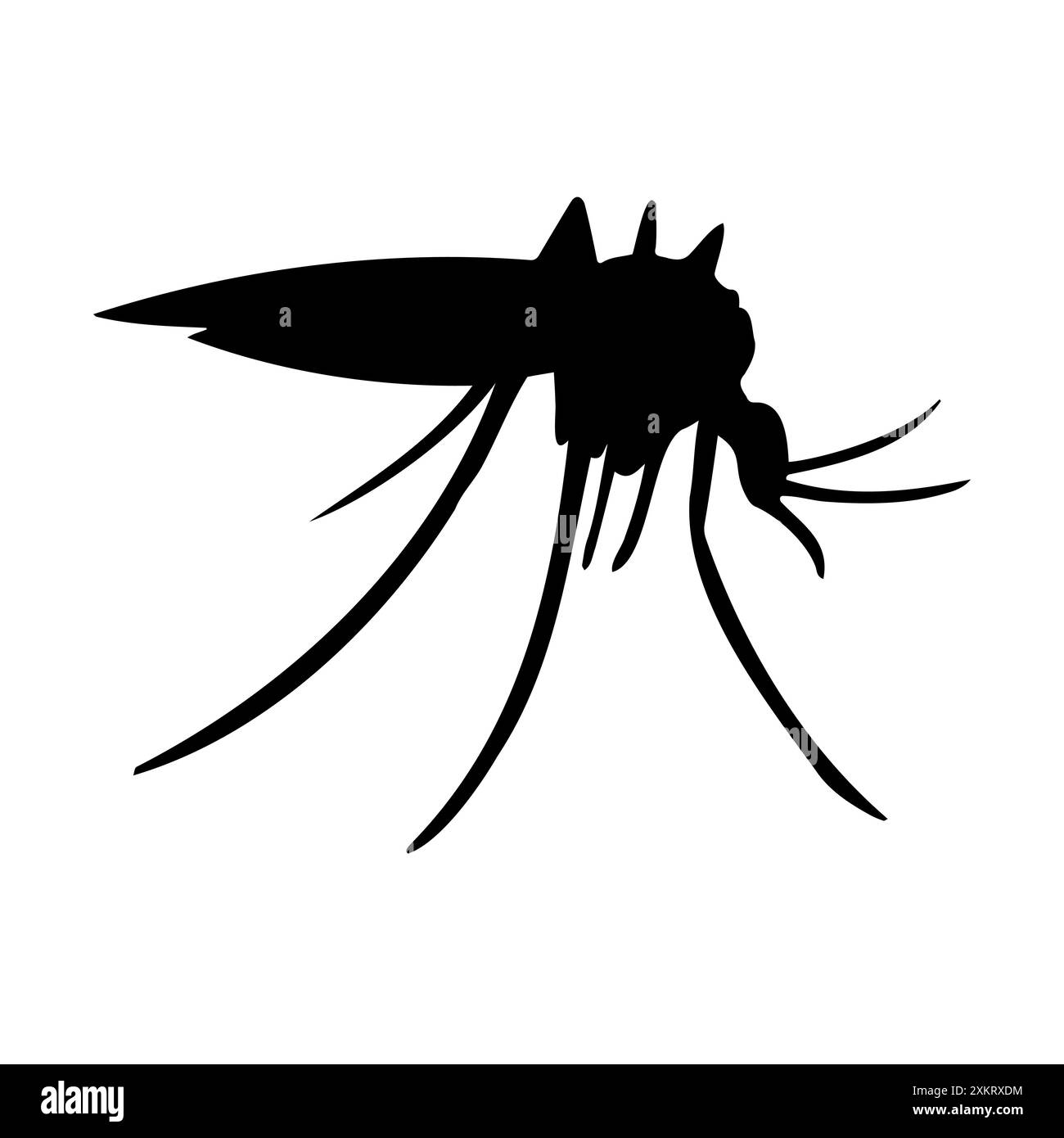 Vector hand drawn mosquito silhouette isolated on white background ...
