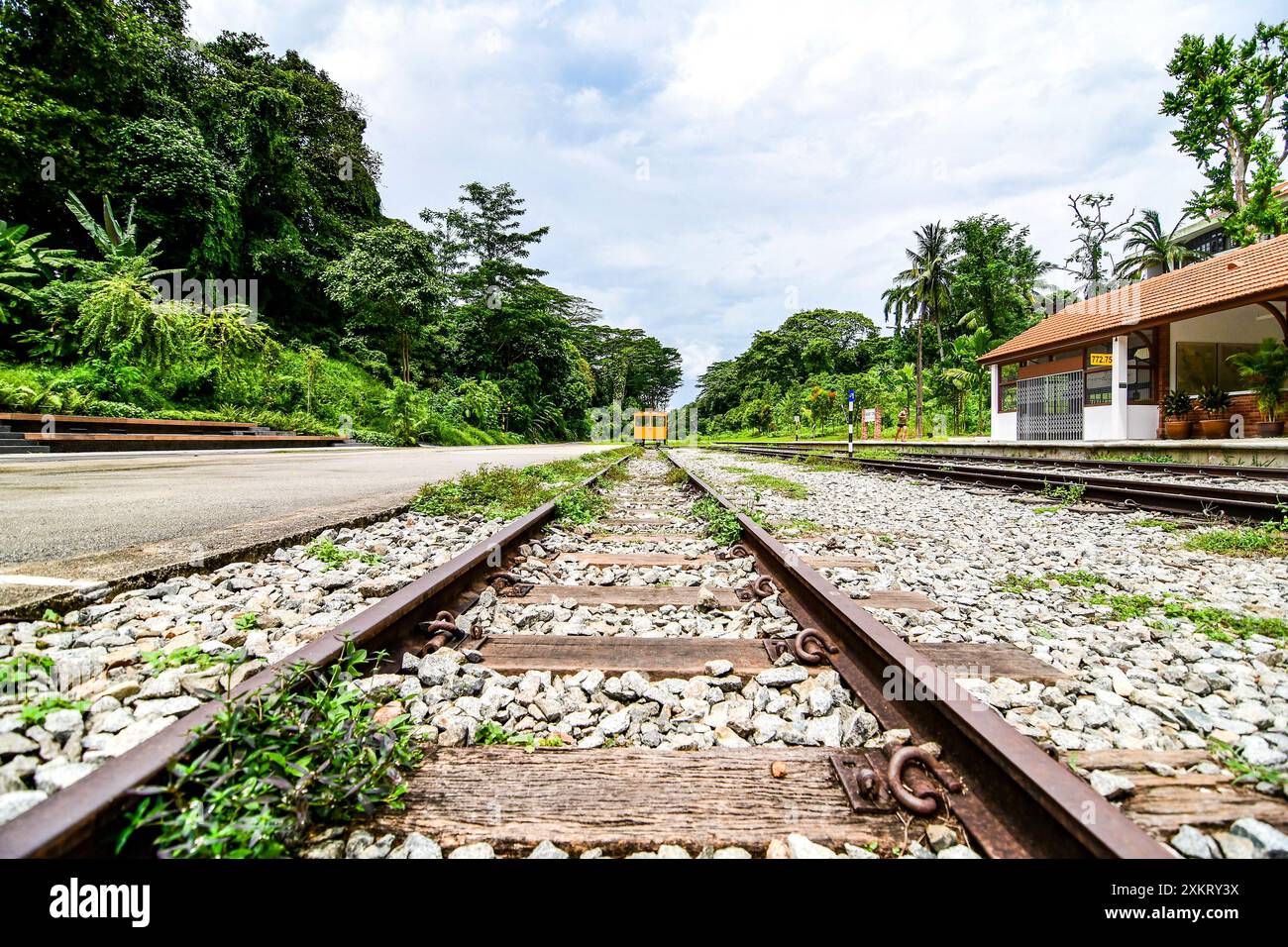 Rail Corridor sights along Bukit Timah Road, Singapore Stock Photo - Alamy