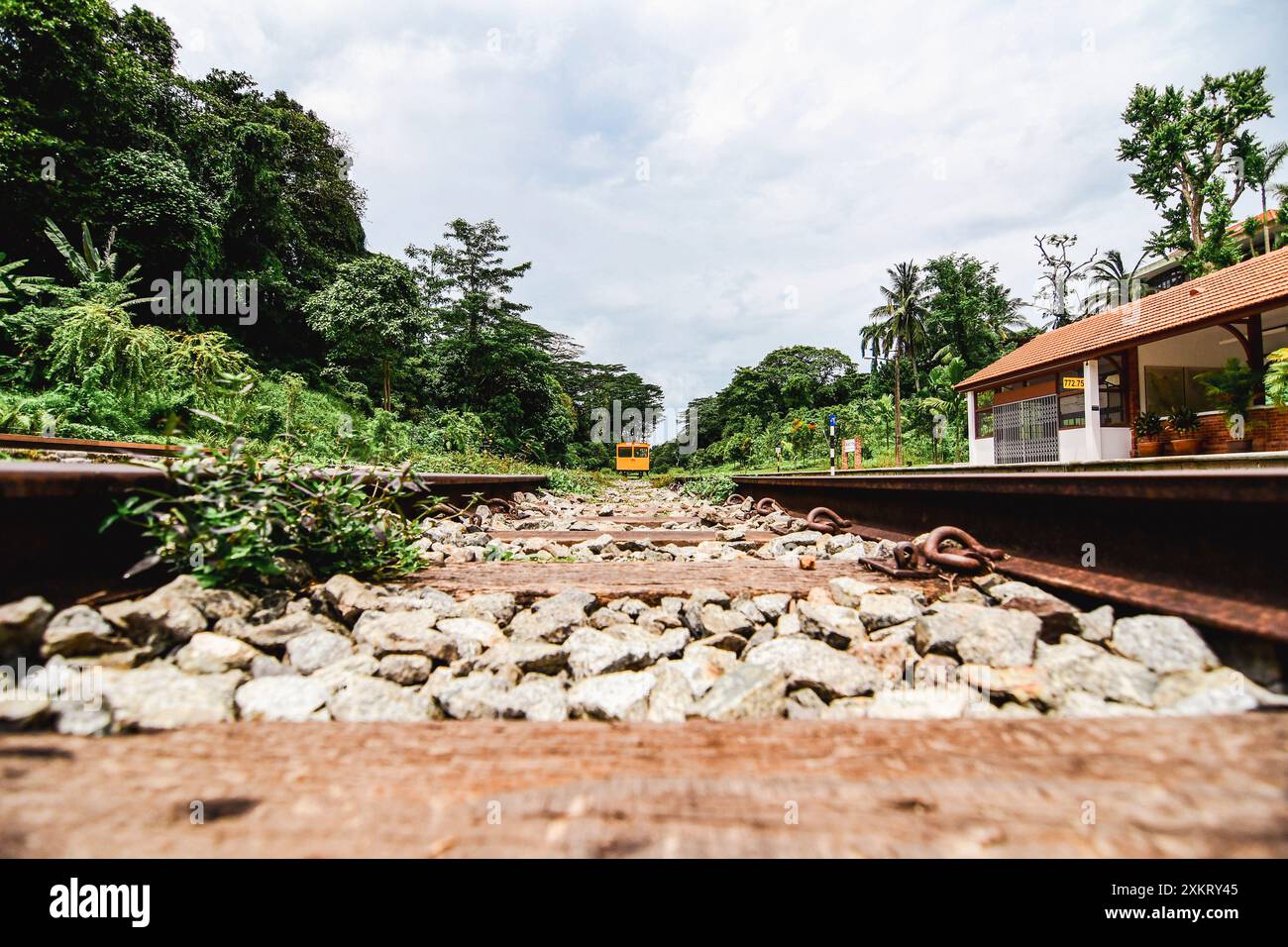 Rail Corridor sights along Bukit Timah Road, Singapore Stock Photo - Alamy